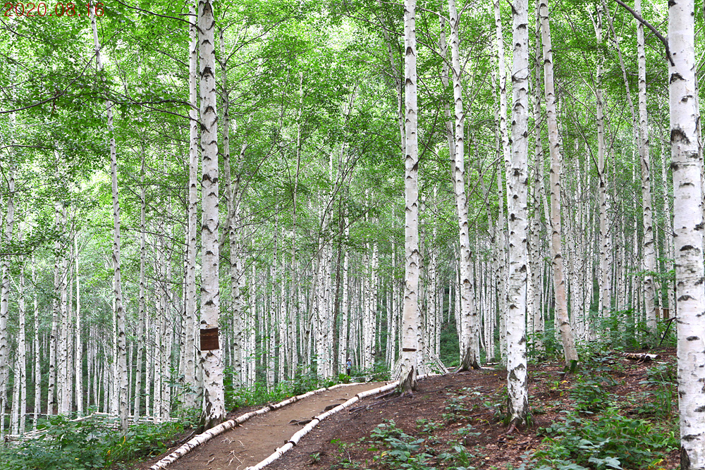 대한민국 1위 국내전문여행사 - 동백여행사